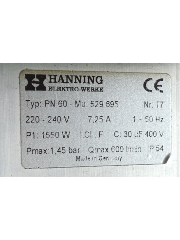PN60. Stainless steel 220-240V Hanning pump